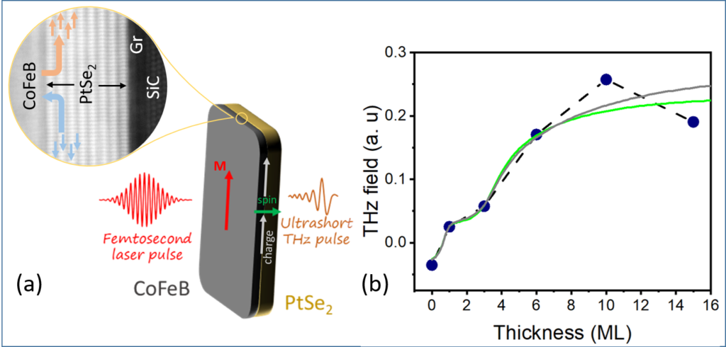 THz emission: a tool for studying the spintronic properties of 2D ...